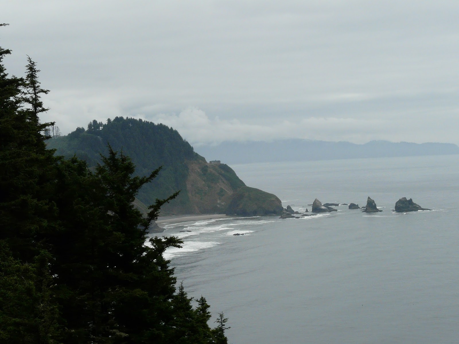 The Year of Birds: Oregon Birding IV: The Coast