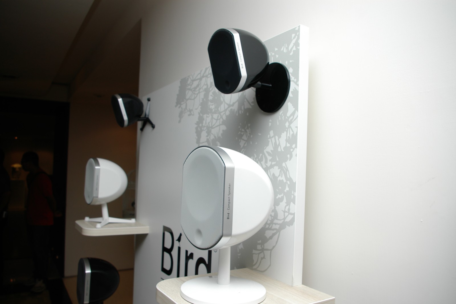 Better Sound 優聲學: Focal Bird發表會