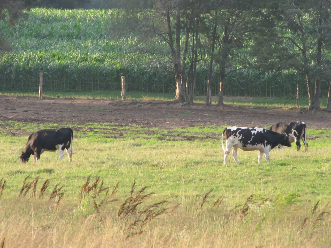 simply bev: corner view: sights/special places of interest (that aren't ...