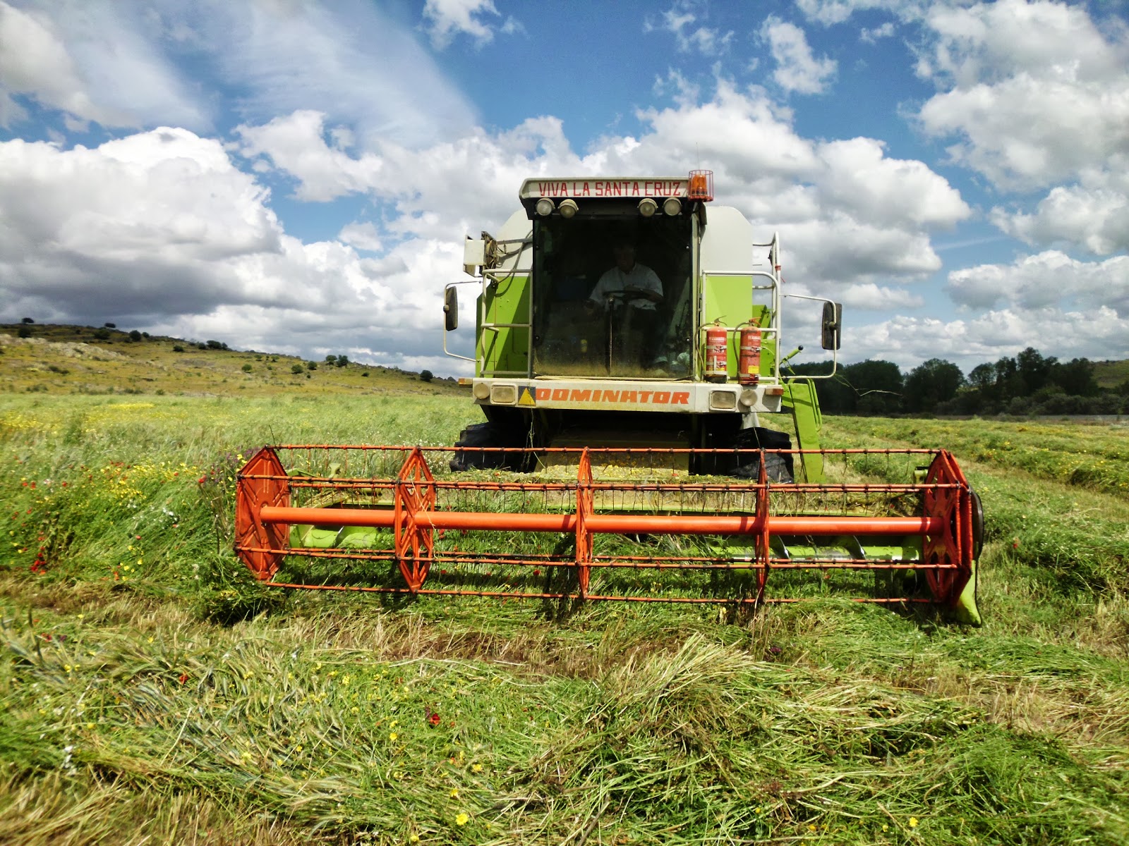Dominator for all purposes: Mowing jobs