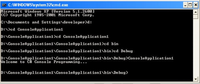 Microsoft C#.Net Tutorials: Execute .NET Application in Command Windows