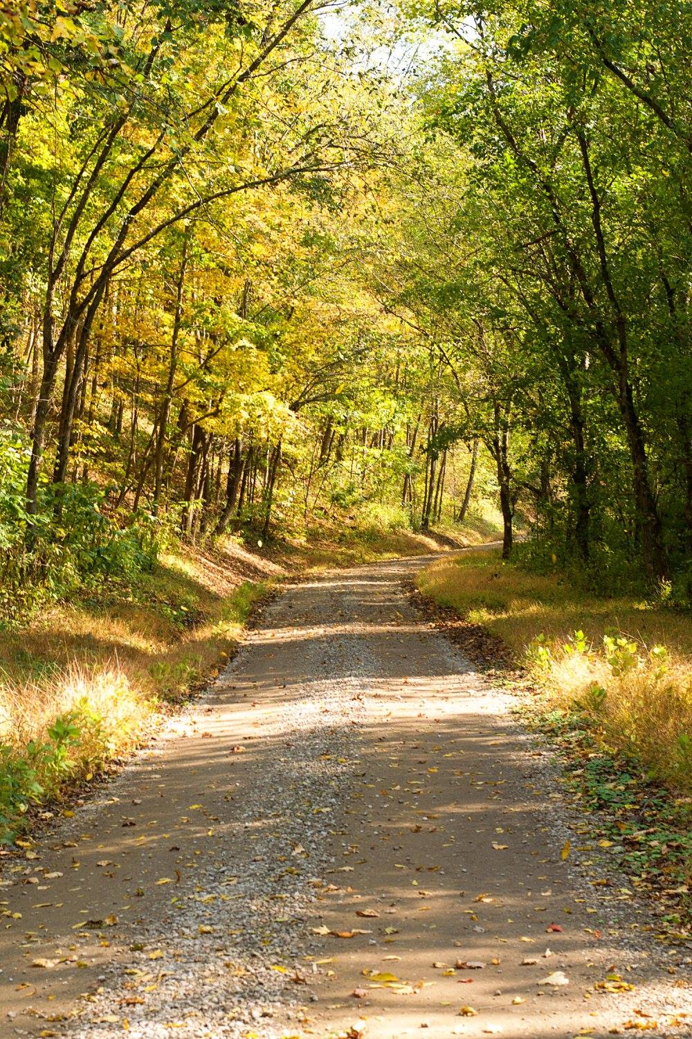 The Saturday Sip: Fall Covered Bridge Tour 2016 - The Kitchen Wife
