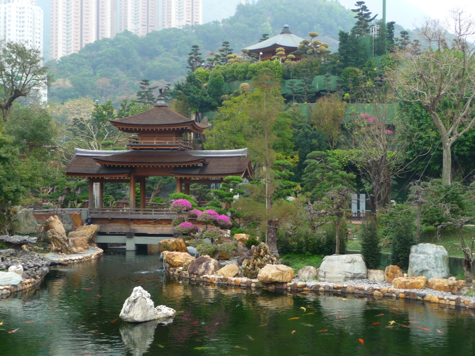 Cath à HK: Poisson de Chine!