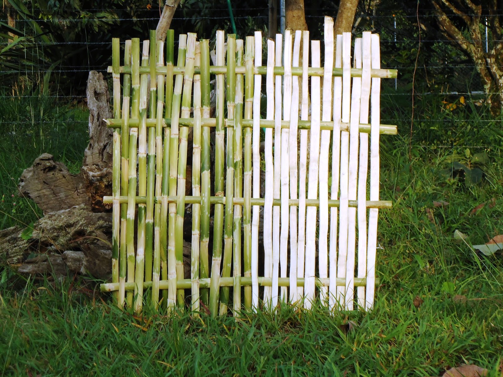 APUNTES - REVISTA DIGITAL DE ARQUITECTURA: Construcciones seguras con ...