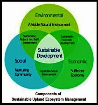 Thoughts to Promote Positive Action...: Components of Sustainable ...
