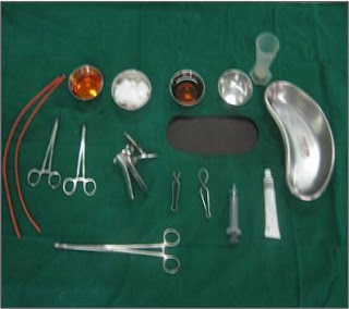 Vājīkaraṇa: Uttara Vasti- A Unique Therapeutic Procedure