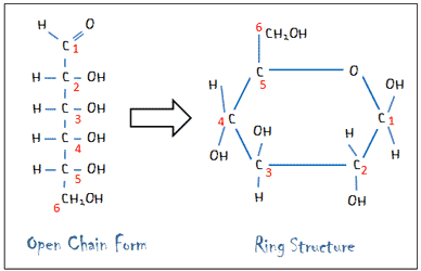CARBOHYDRATES - Monosaccharides ~ BioPrints