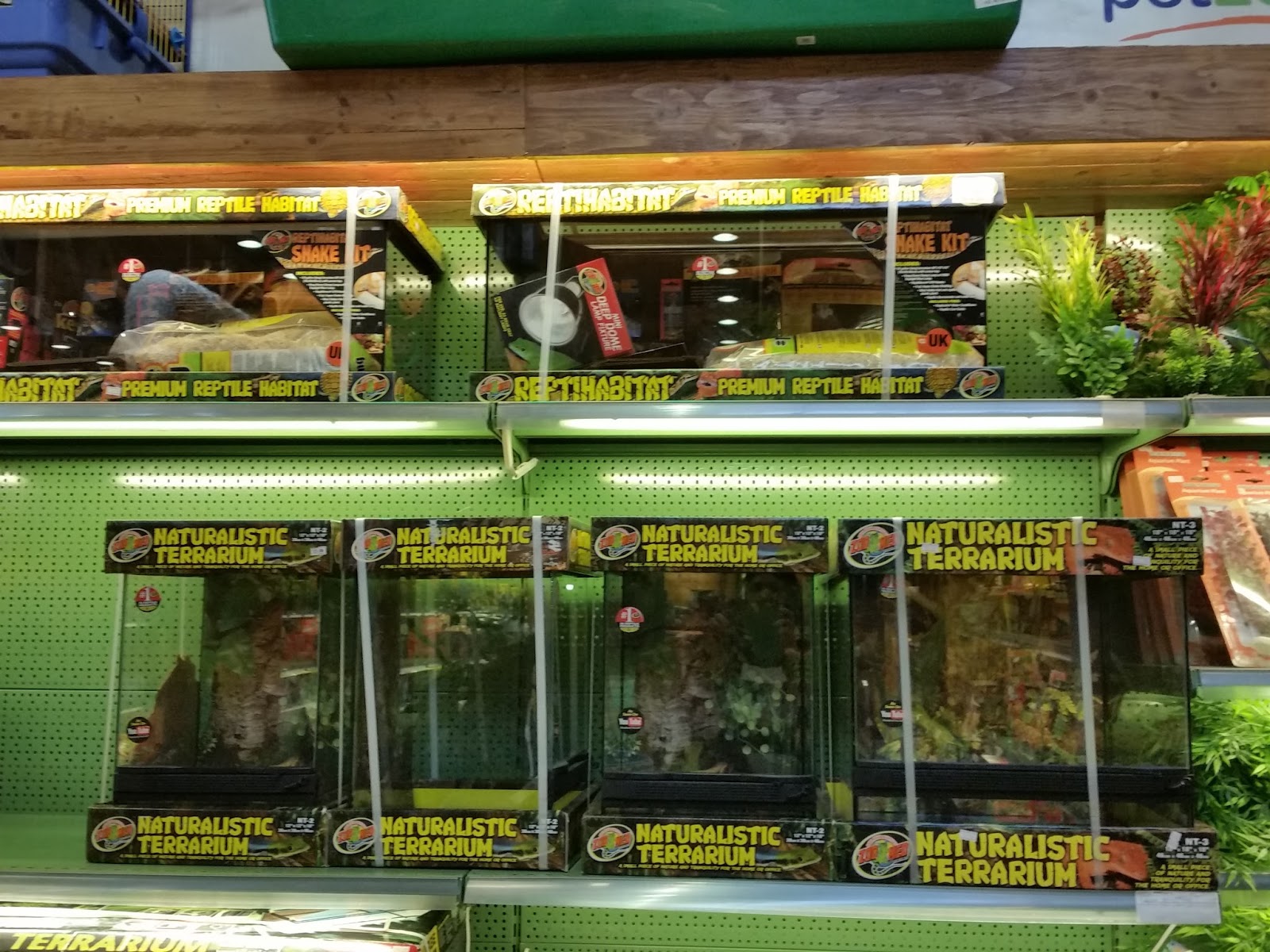 Life in Kuwait Blog: Pet Zone