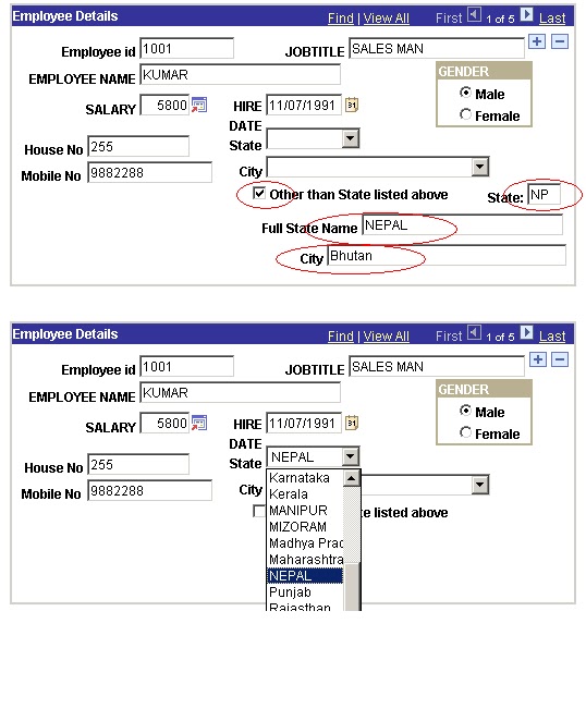 PeopleSoft: Adding Translate value Through panel to translate table