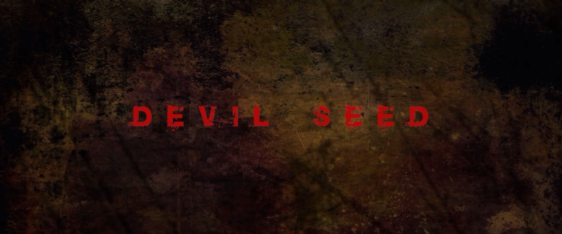 the astounding denim jacket: November 30th, 2014 - Devil Seed (2012)