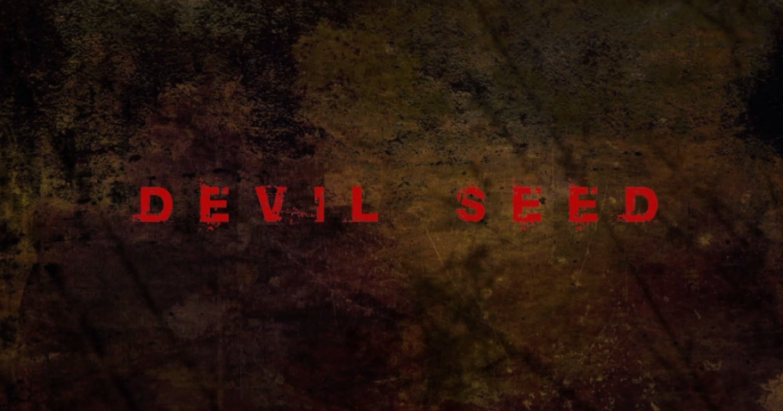 the astounding denim jacket: November 30th, 2014 - Devil Seed (2012)