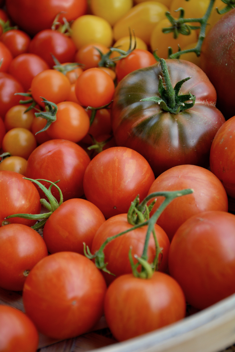 Keittiössä tuoksuu tomaatti | Kanelia ja kardemummaa