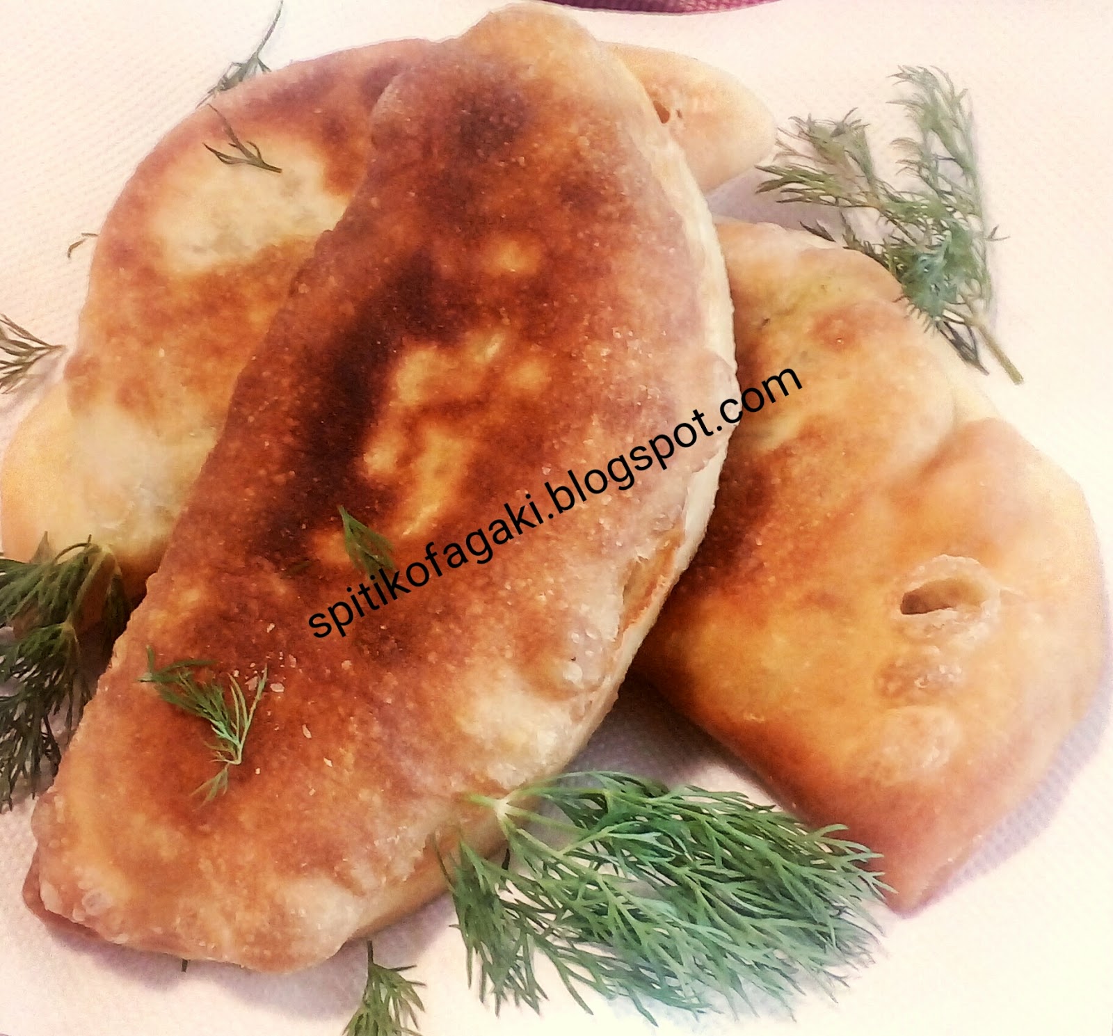 ΣΠΙΤΙΚΟ ΦΑΓΑΚΙ