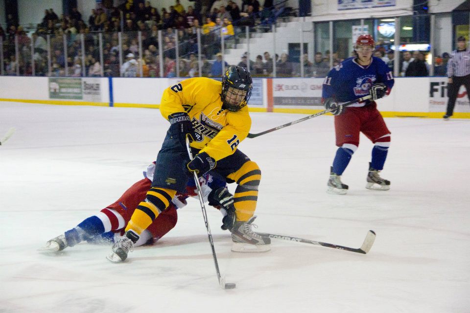 Springfield Jr. Blues Hockey 2011-2012 (Bleed Blue) - NAHL