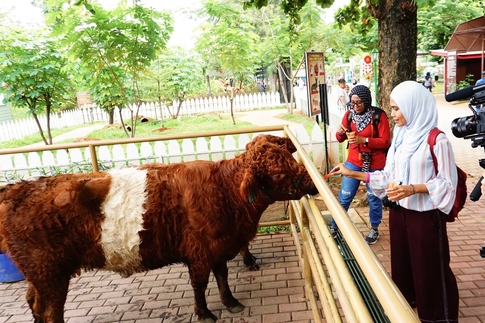 Seru-seruan di Taman Legenda Keong Emas