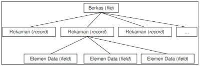 Struktur Hirarki Pada Basis Data ~ I DONT SLEEP