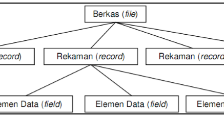 Struktur Hirarki Pada Basis Data ~ I DONT SLEEP