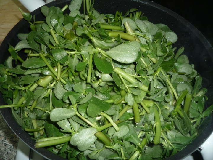 Mexica food: Pictures of Mexica food