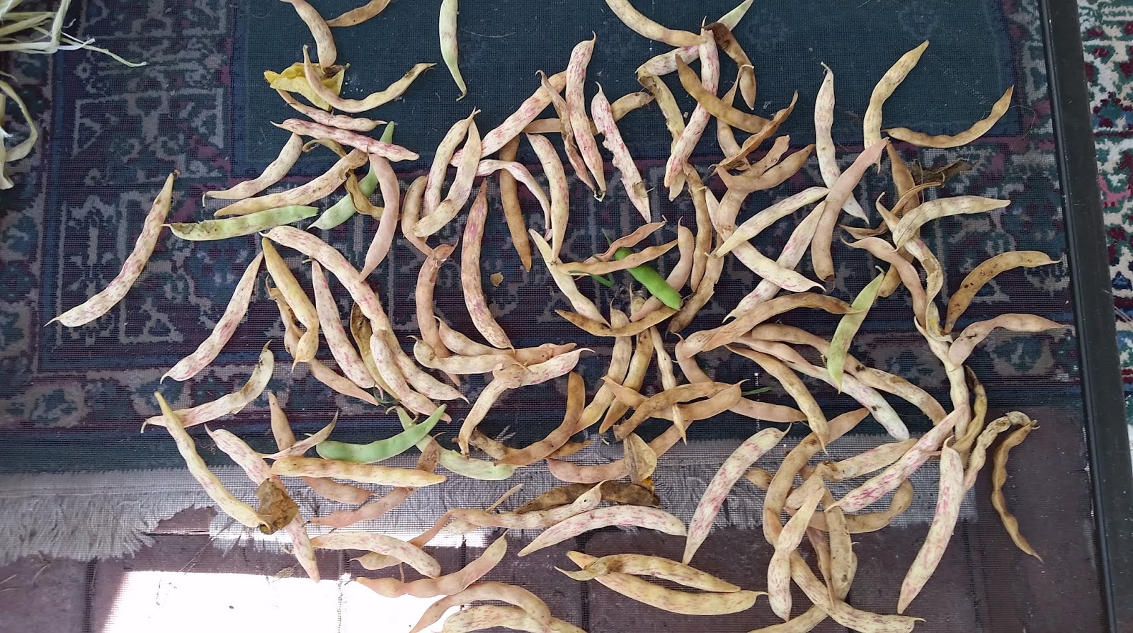 Eight Gate Farm - New Hampshire: August 2018