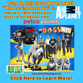 Things to Ponder: Just One More Day Until The Dogs Are Out