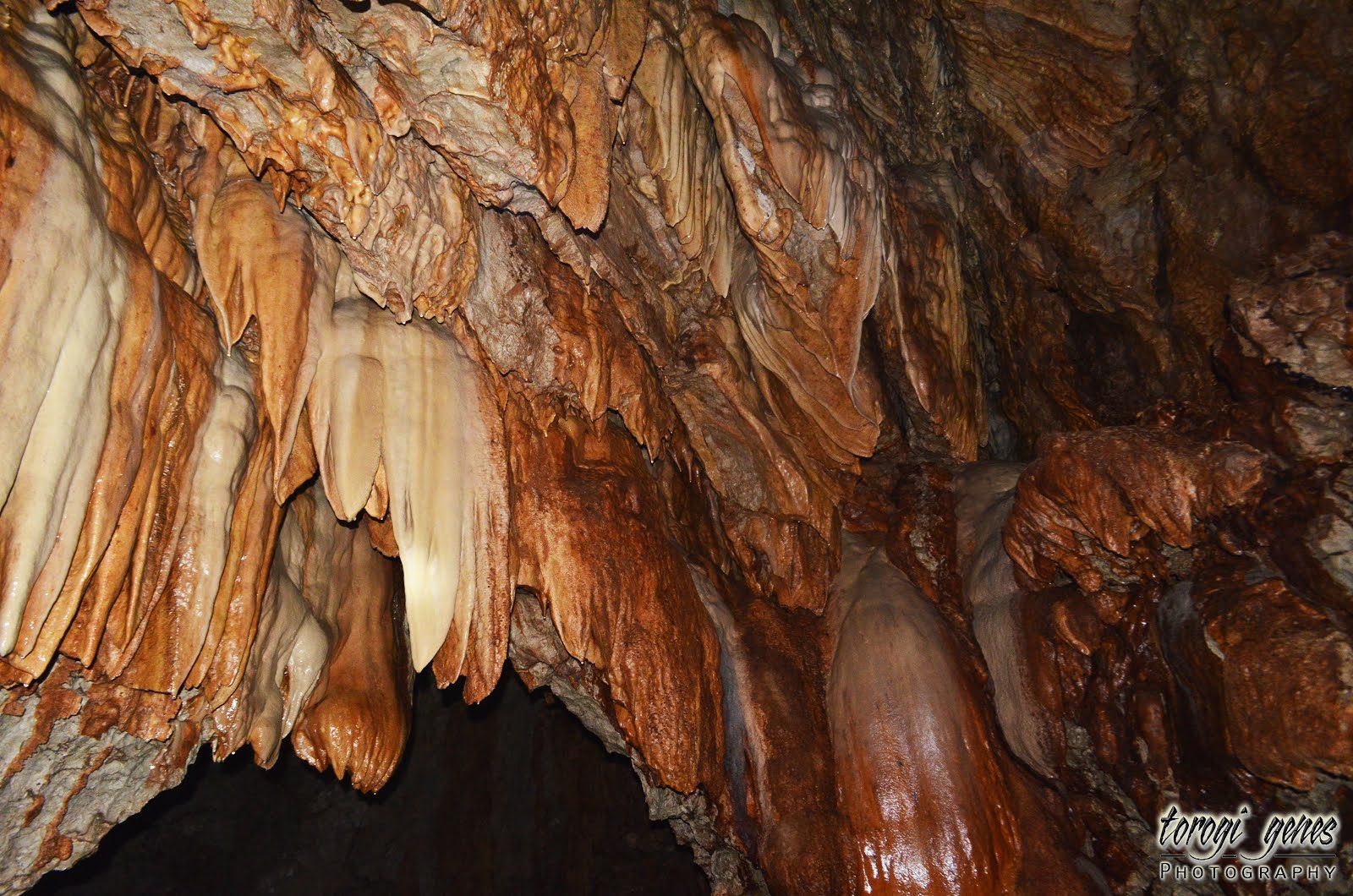 Lone Prowler: ARAN CAVE