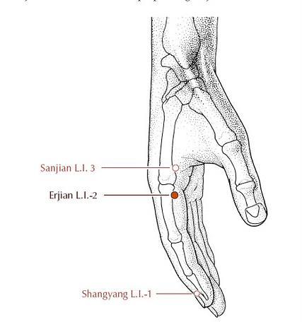 Acupuncture: LI - 2 ( Large Intestine-2)