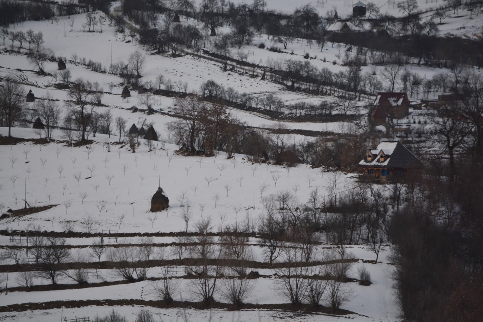 TUDOR PHOTO BLOG: Iarna la Poienile Izei,Winter at Poienile Izei ...