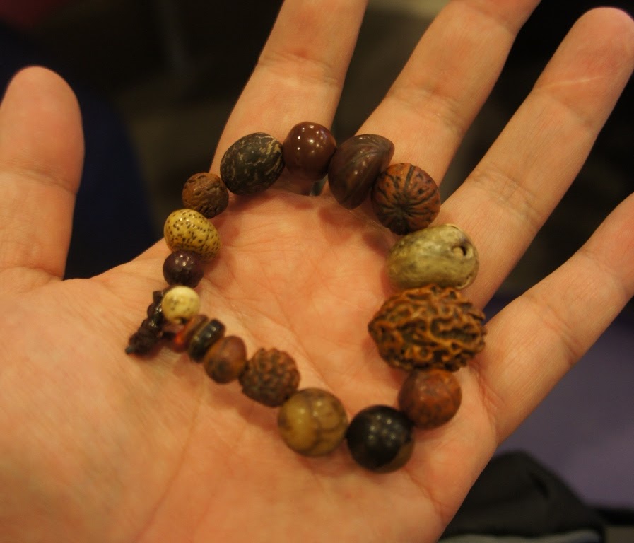 OUR PHILIPPINE TREES: A String of Seeds