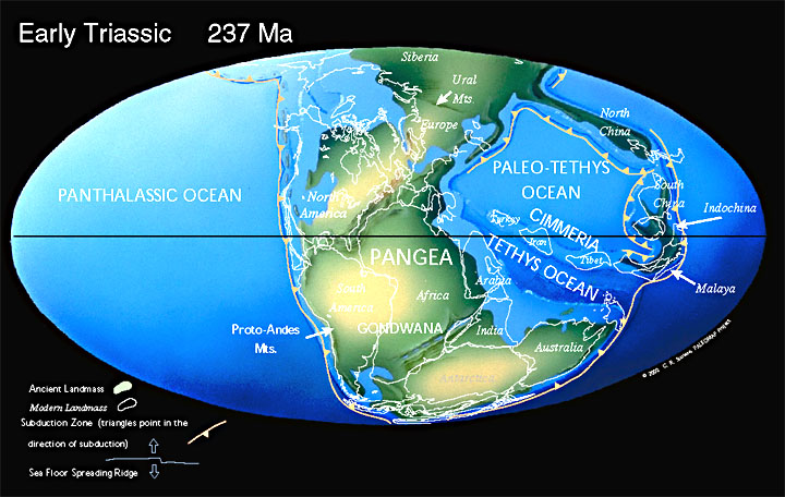 L'angolo della Geologia: Che Vuol dire - Pangea?
