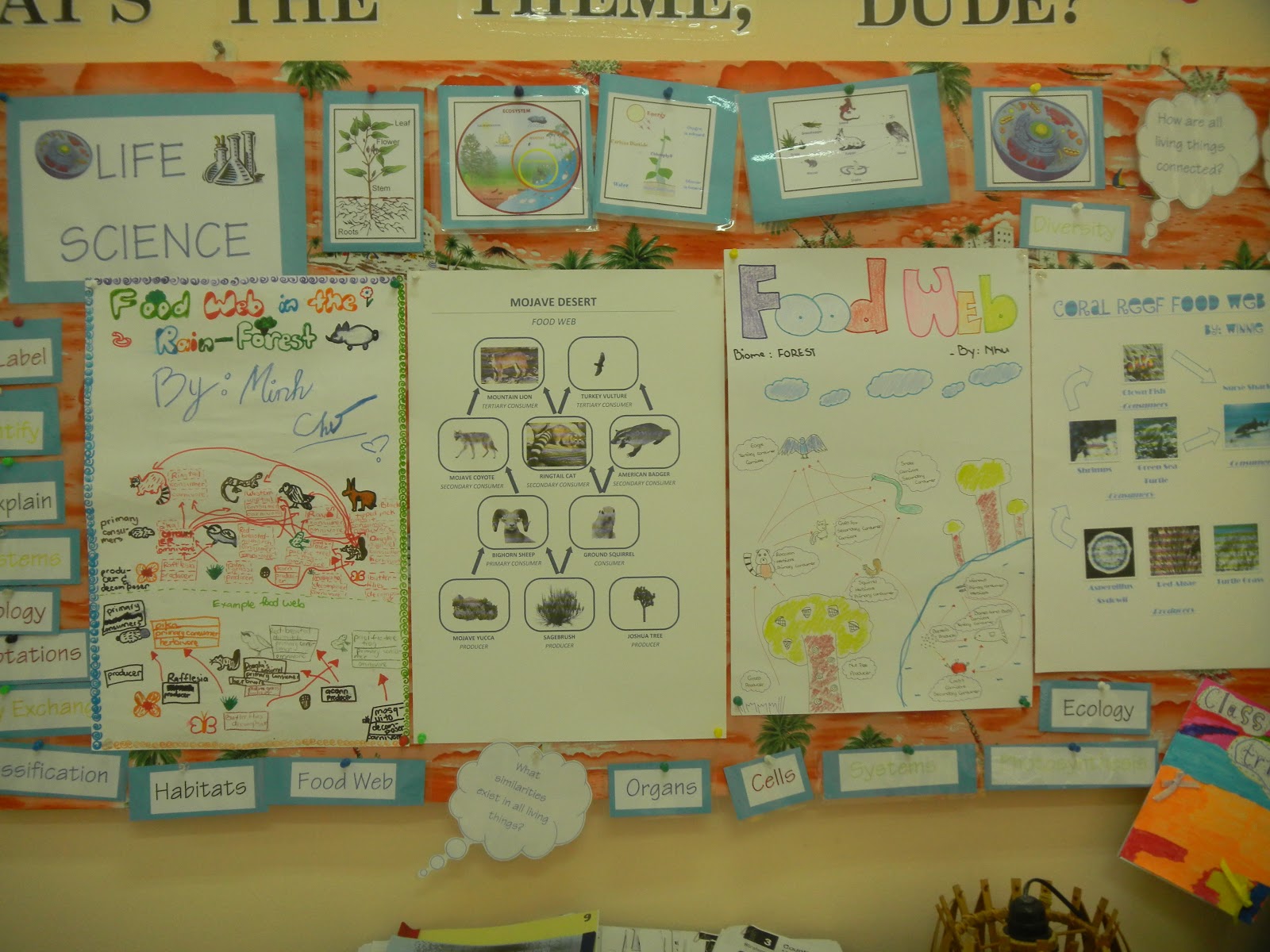 The Cultural Classroom: Food Web Poster Project
