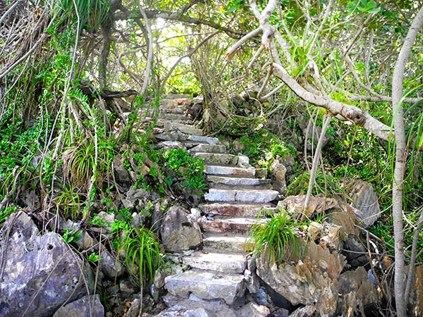 My Roatan - Adventures in Creating Nirvana: nature spa update