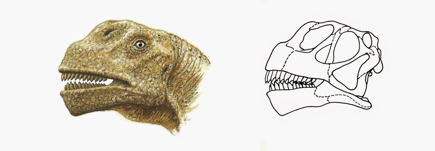 Dinoblog: Brontosaurus is Back!