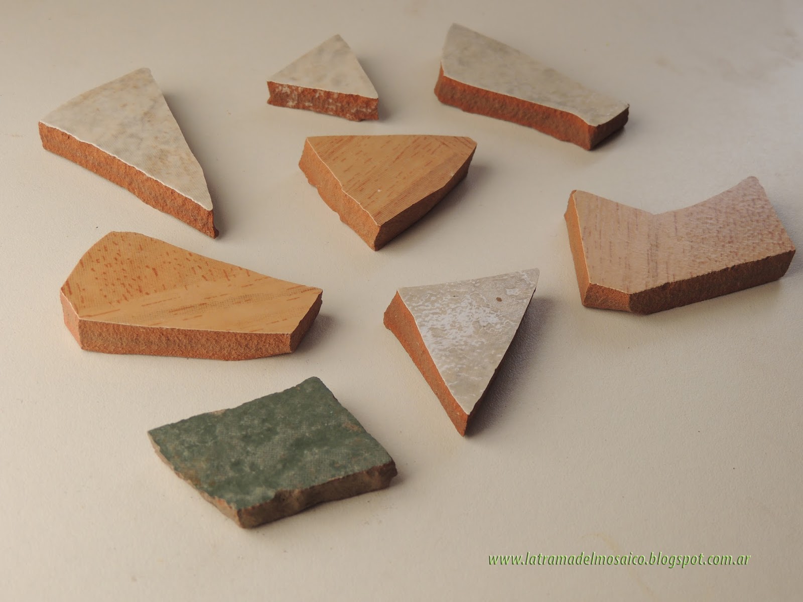 La Trama del Mosaico: ¿Qué es una tesela?