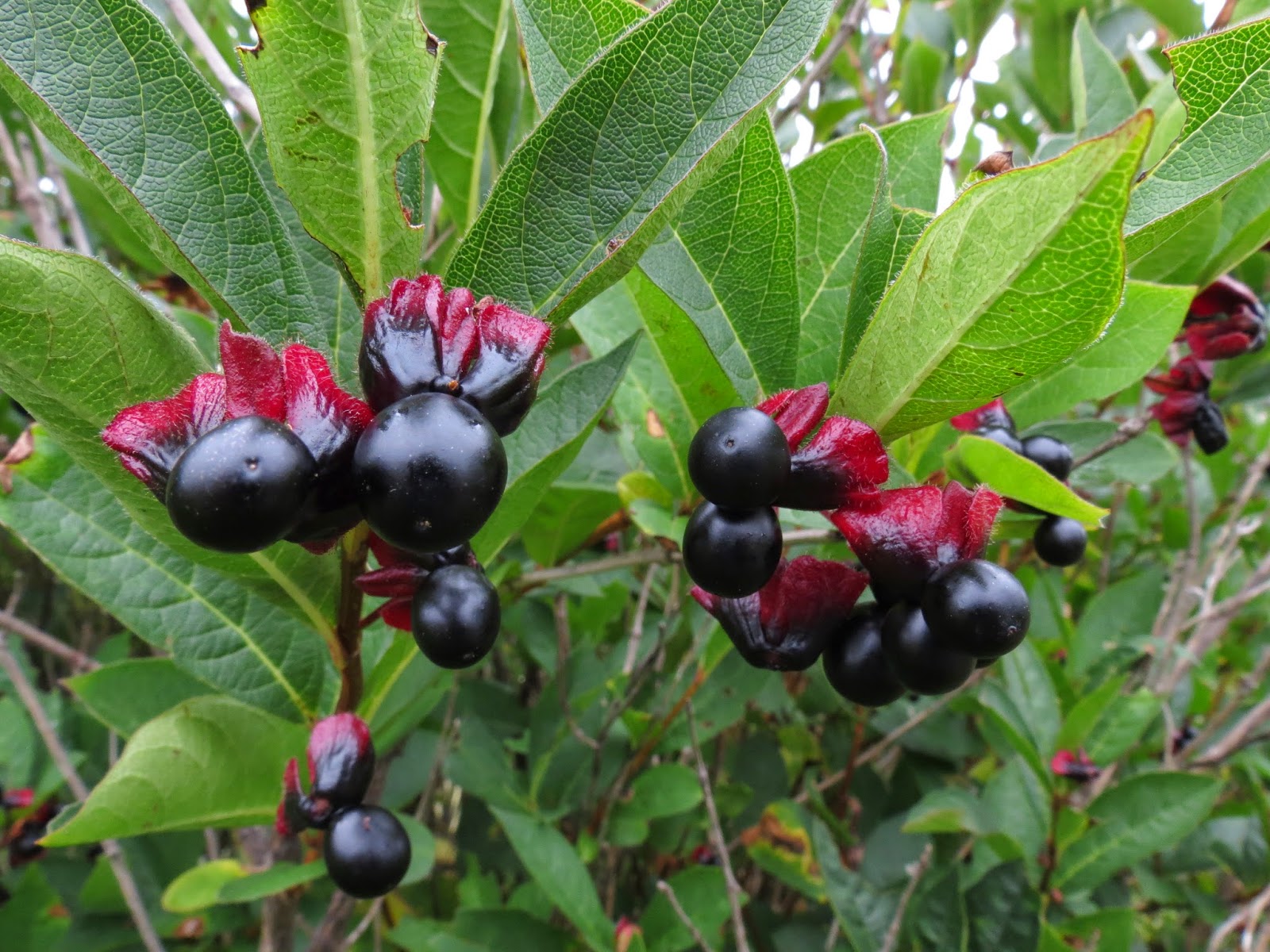 A trip to the Oregon coast