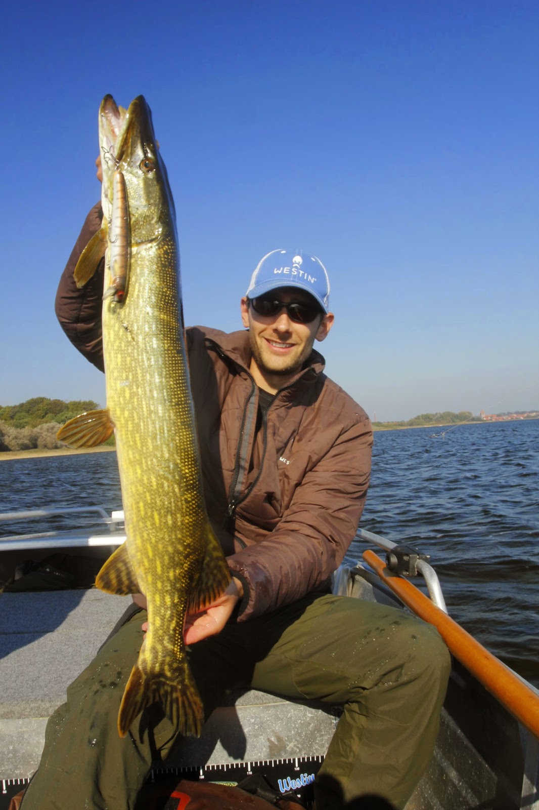 Trawleren.blogspot.com: Brakvandssjov - masser af fisk - dog ingen ...