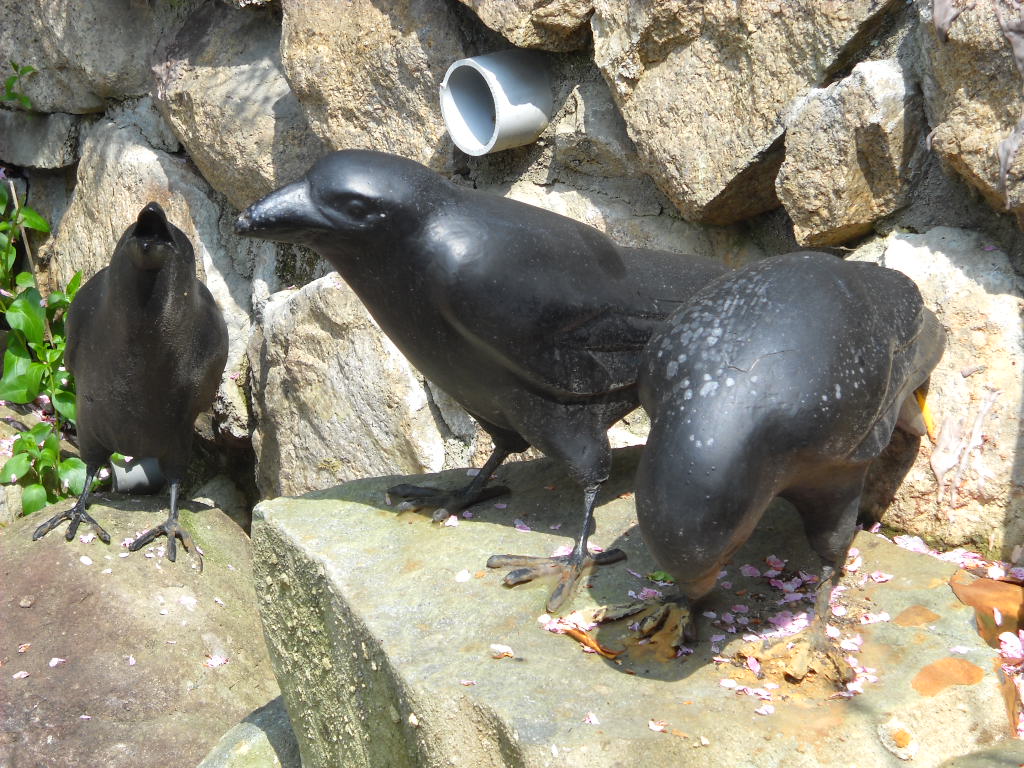 Daily Glimpses of Japan: Legend Of The Three Crows Of Arima Onsen ...