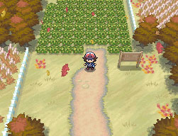 MUNDO POKEMON: CUATRO ESTACIONES DE POKEMON