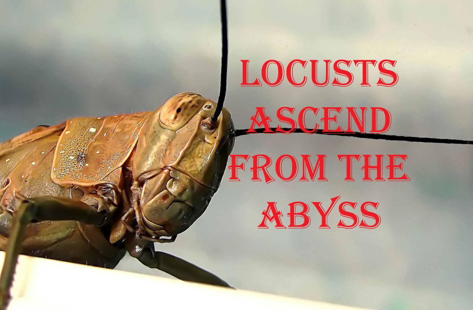 In the Wilderness: Rev 8:13, 9:1-12 - Fifth Trumpet And Locusts