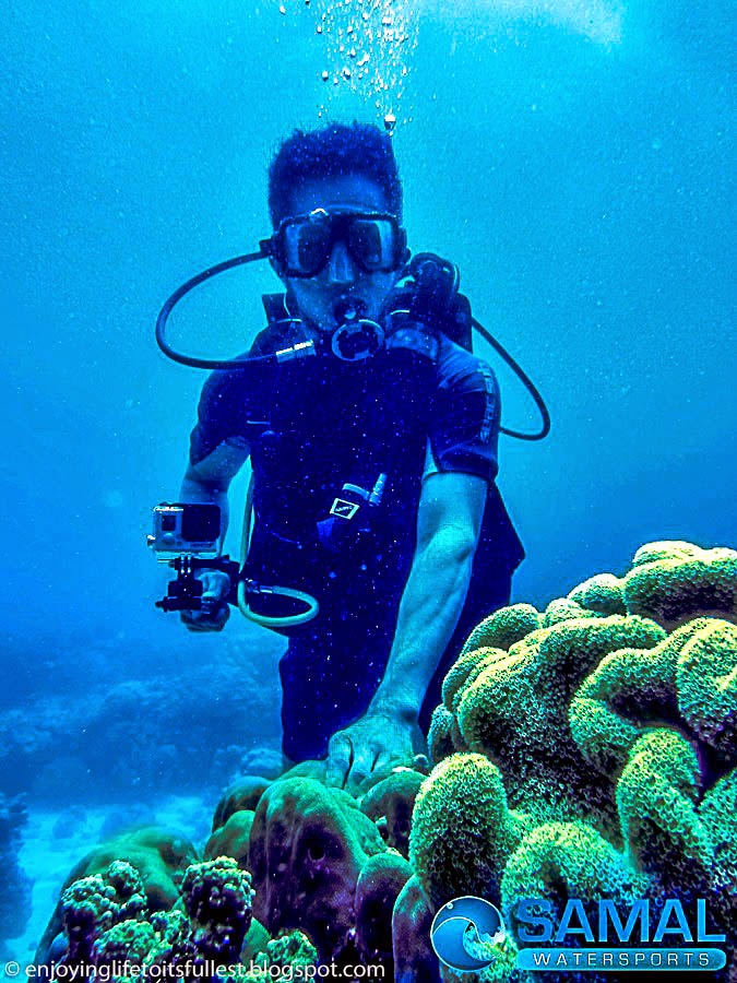 ALventureBlogs: Samal Island Adventure: Intro-Scuba Dive