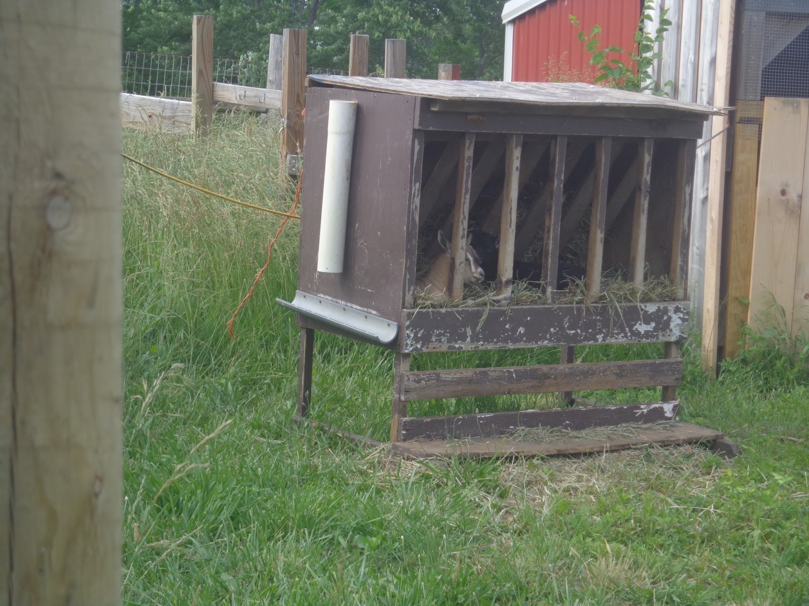 Calamity Acres Hobby Farm: A Goat Post