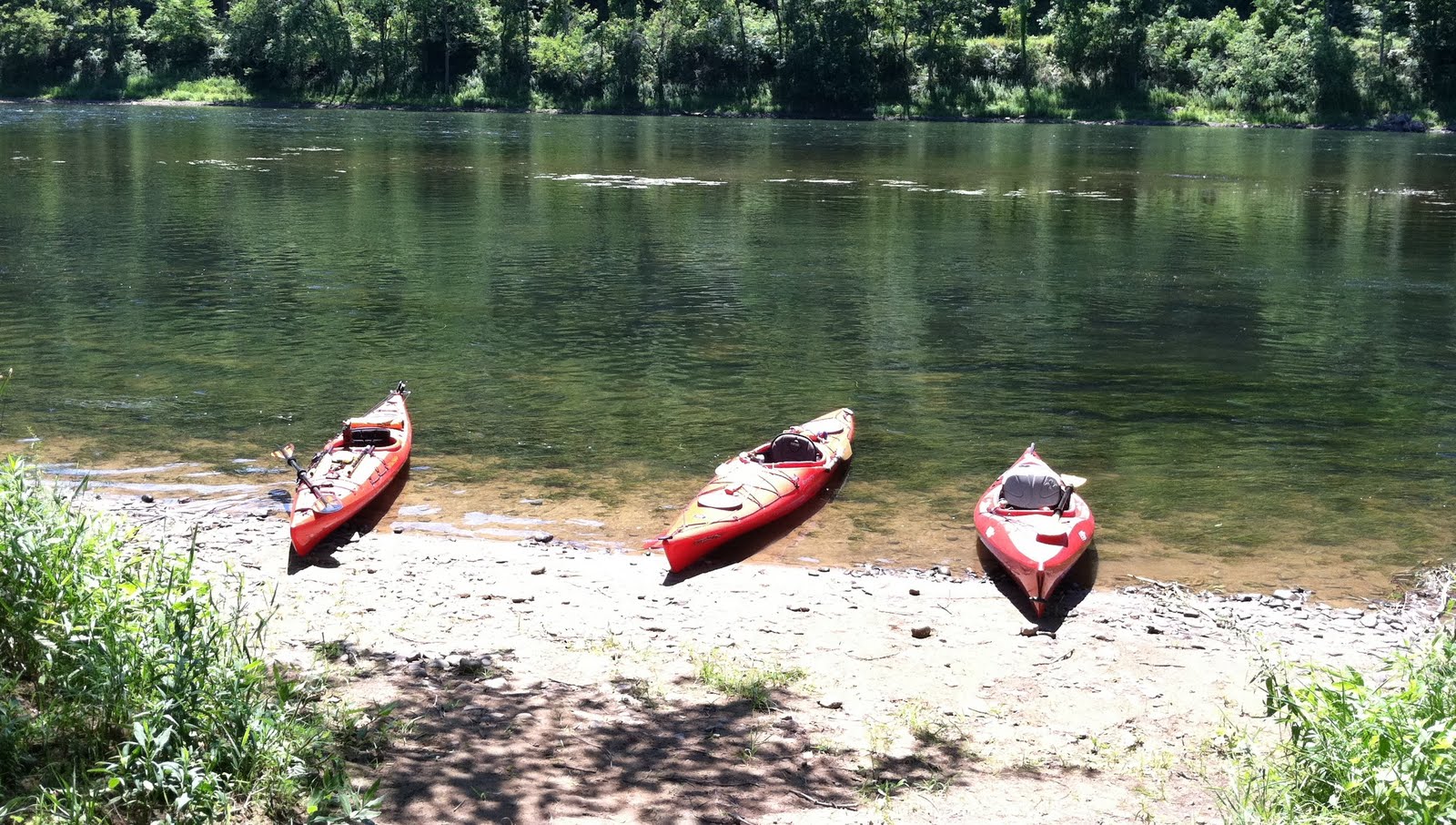 Adventure Awaits: Allegheny River PA, Kayaking