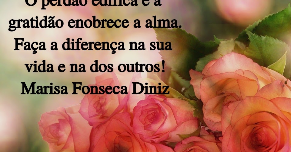 O Poder do Perdão e da Gratidão