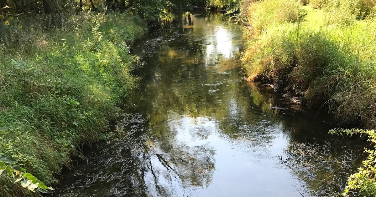 Waunablog: Clean the Creek Volunteers Needed
