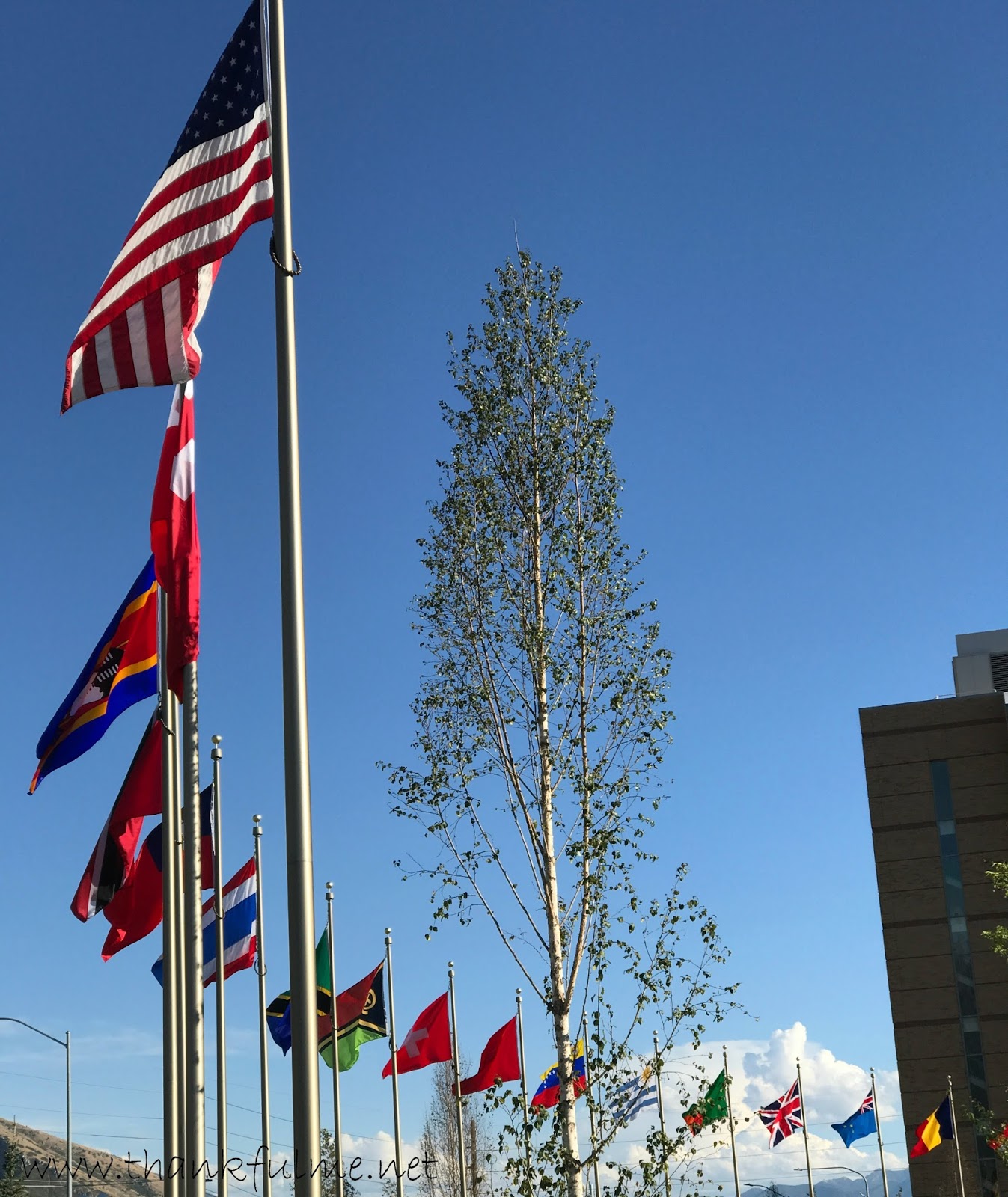 Ten Things of Thankful: Catching Up Edition