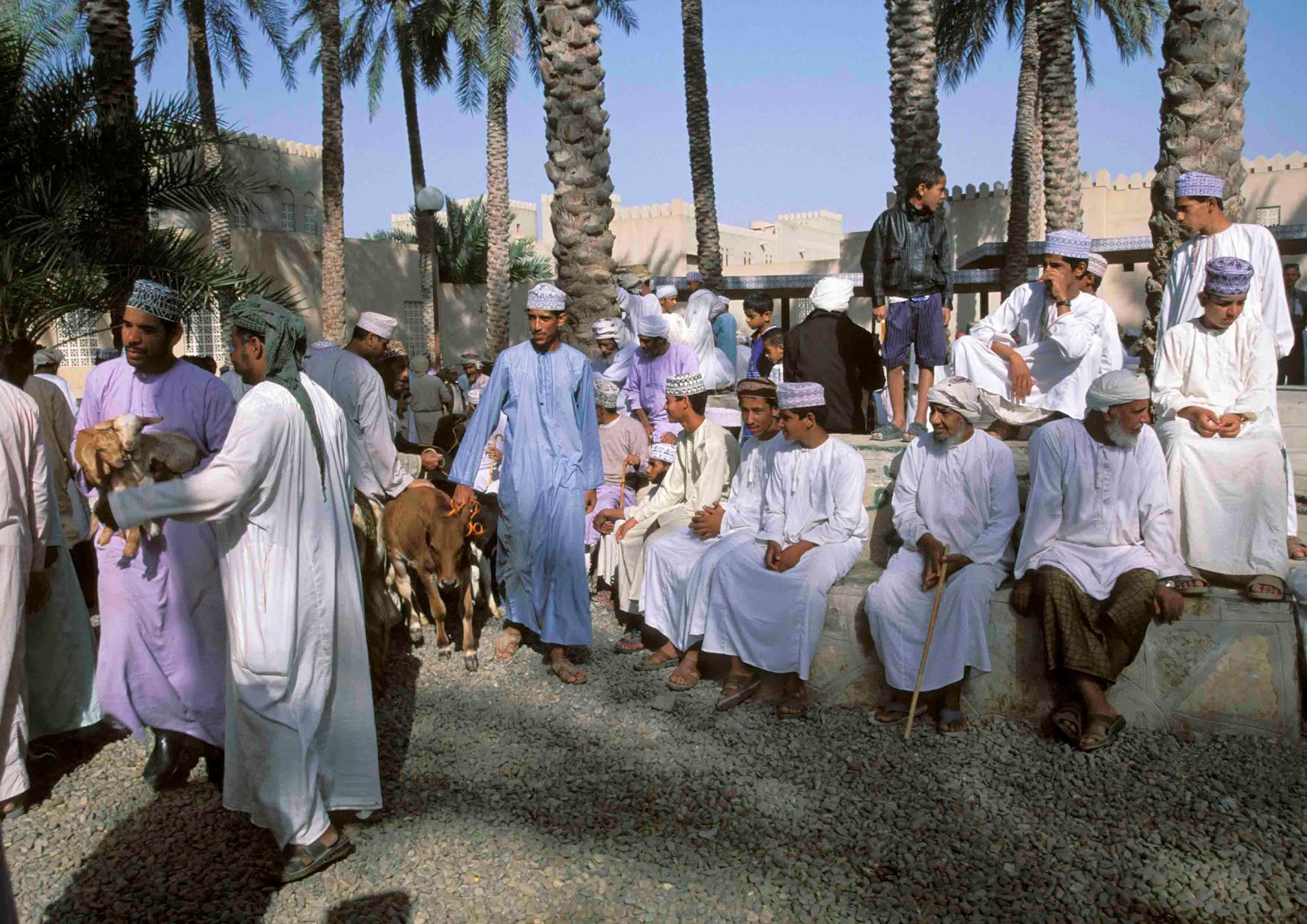 Travel & Adventures: Oman ( عمان ). A voyage to Oman, Middle East ...