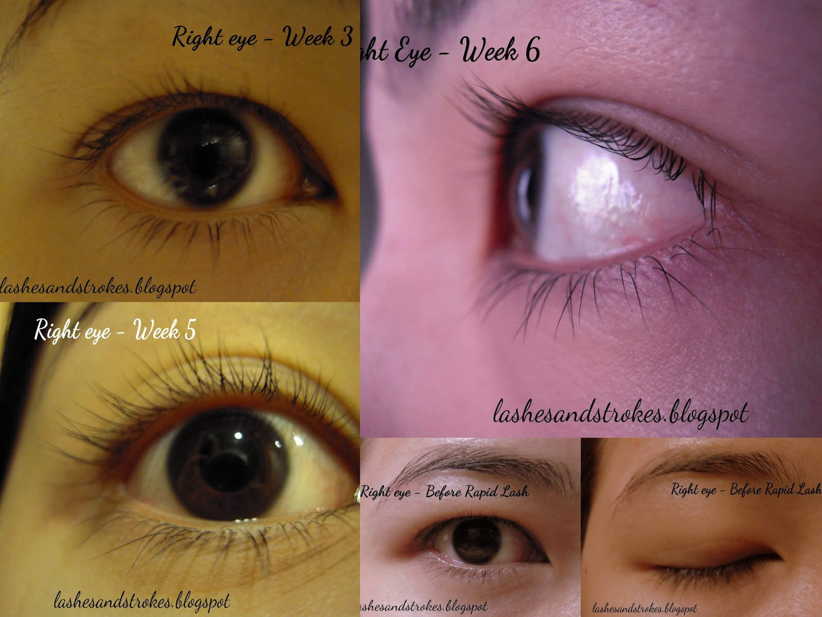lashes and strokes: Review : Rapid Lash Eyelash and Eyebrow Enhancing Serum