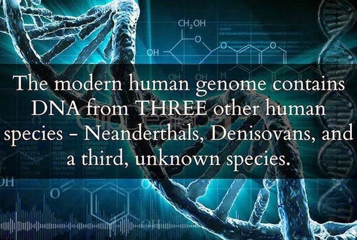 World Of Technology: You Need To Know These Science Facts (26 pics)