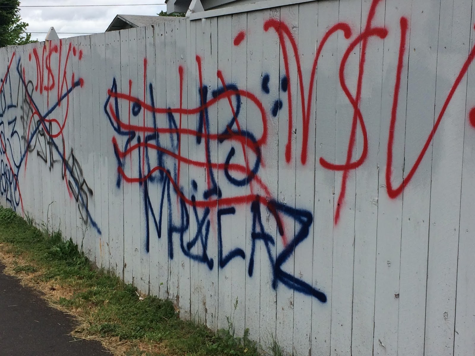 French Vocabulary Illustrated: rayer