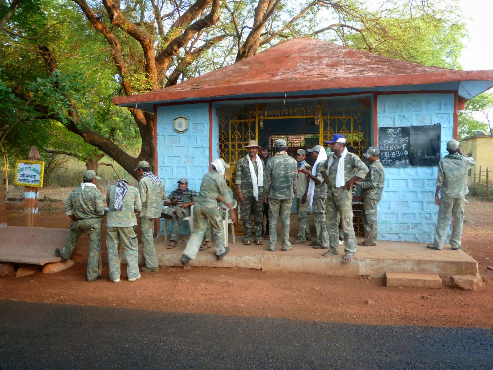 Multitasker: The pregnant tigress climbed out of the pool watched by ...