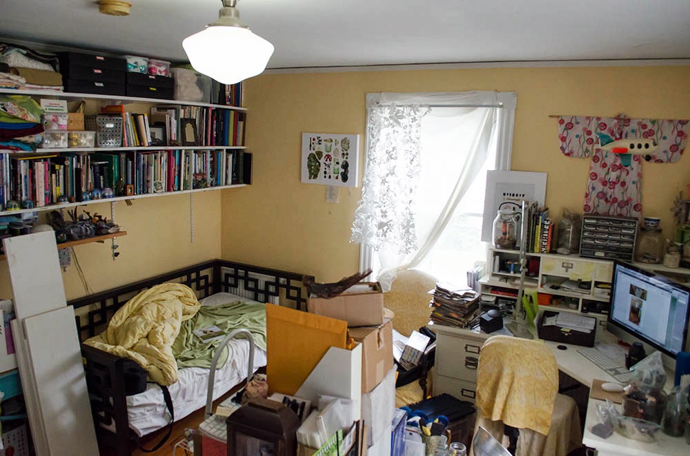 Quercus Design: Chaos